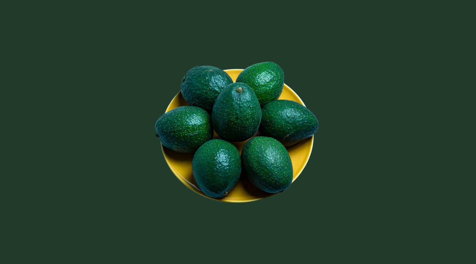 Fruter | Avocado Wholesale Toronto