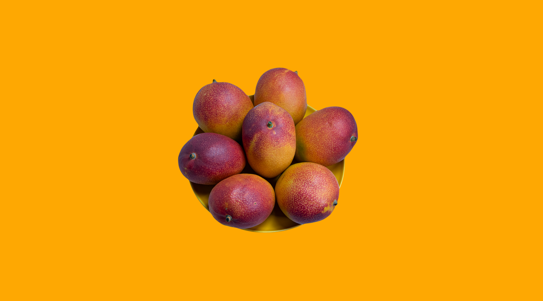 Fruter | Mango Wholesale Toronto