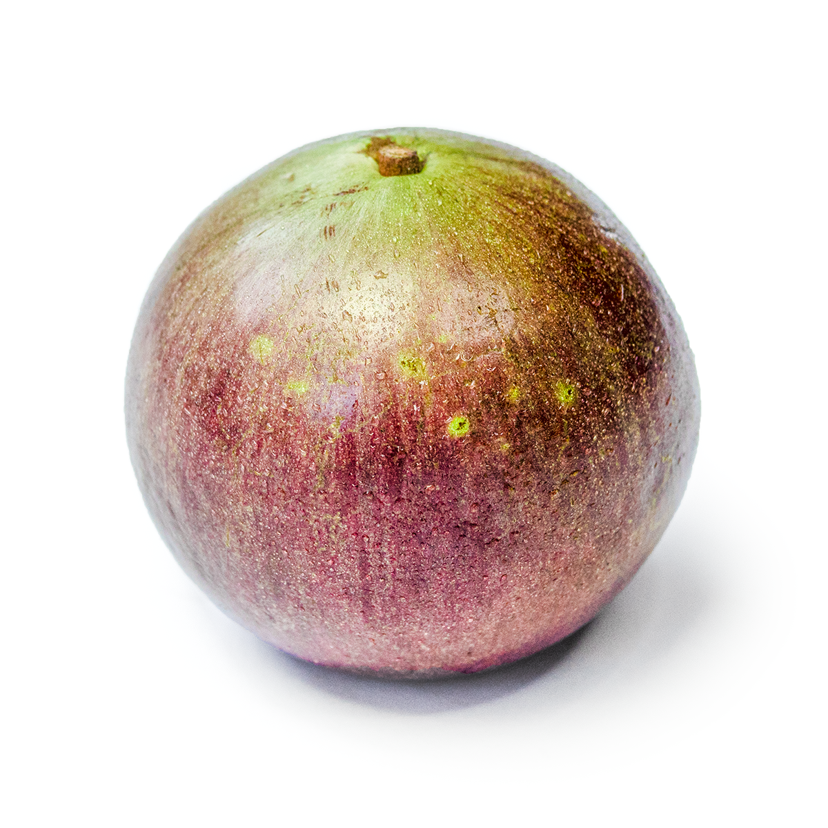 Fruter | Milk Fruit (Star Apple)