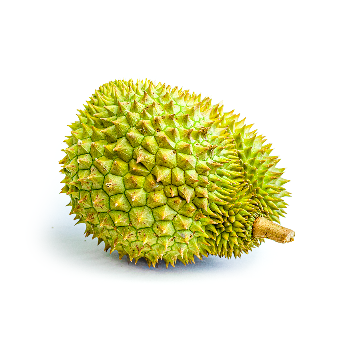 Fruter | Buy Fresh Durian Online Canada